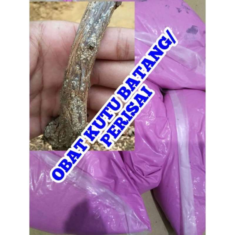 Jual Obat Mujarab Pembasmi Kutu Batang / Kutu Perisai / Tanaman Di ...