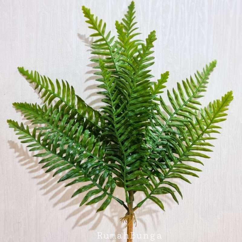 Jual Daun Rumput Pakis Persia Plastik Artificial - 2 Di Seller Winter ...