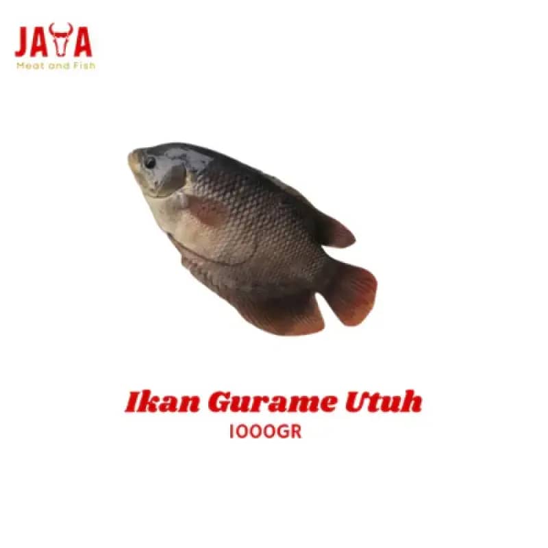 Ikan Nila Gurame Gratis Ongkir 🏷️ Harga Murah Mei 2026