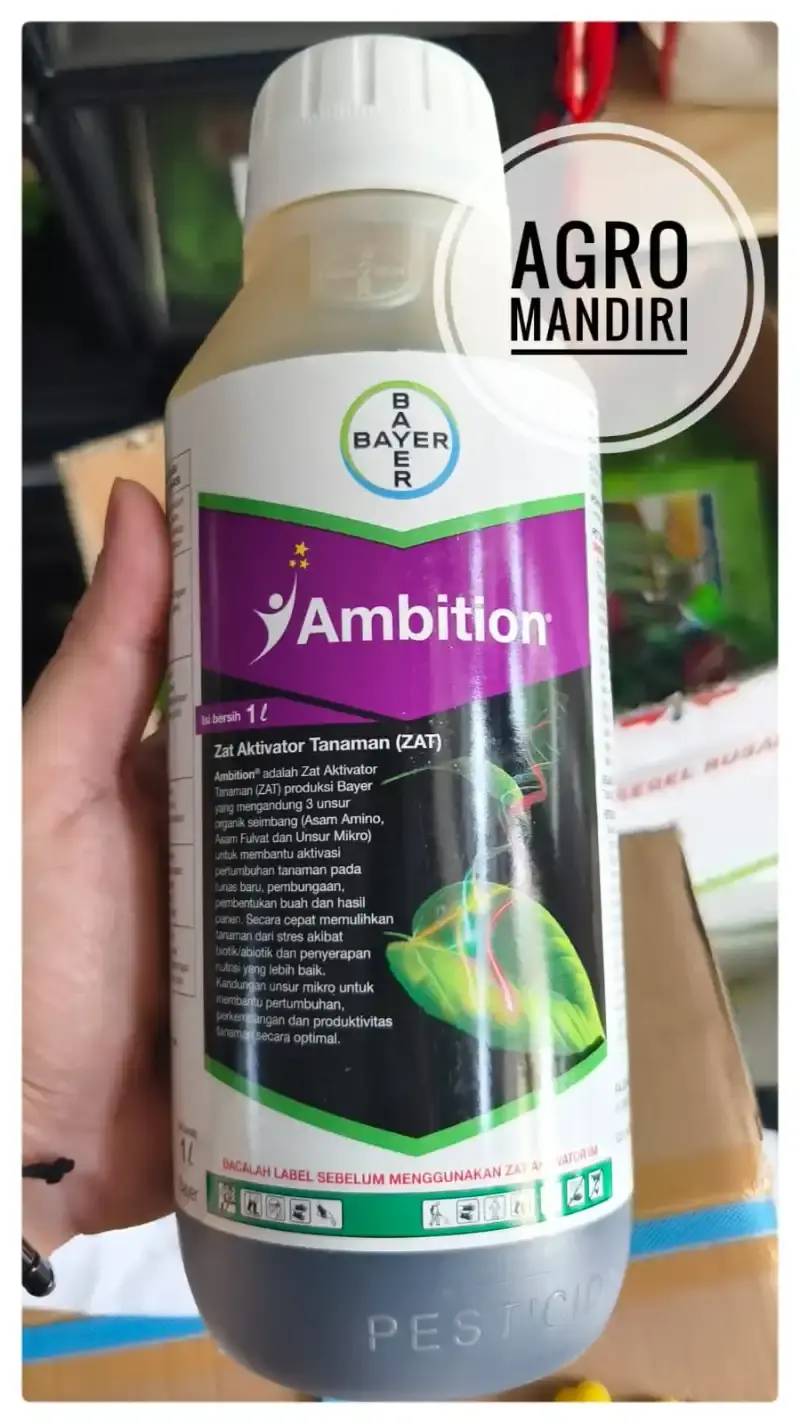 Jual Ambition Bayer 1 Liter 💯 Harga Murah & Kualitas Terbaik Januari 2026