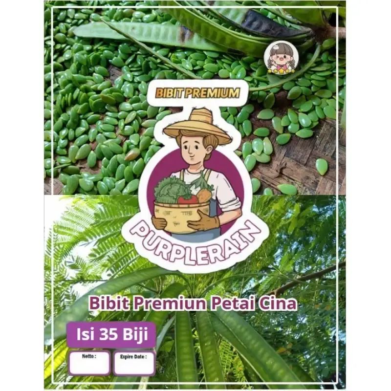 Jual Bibit Petai 💯 Harga Murah & Kualitas Terbaik Mei 2026