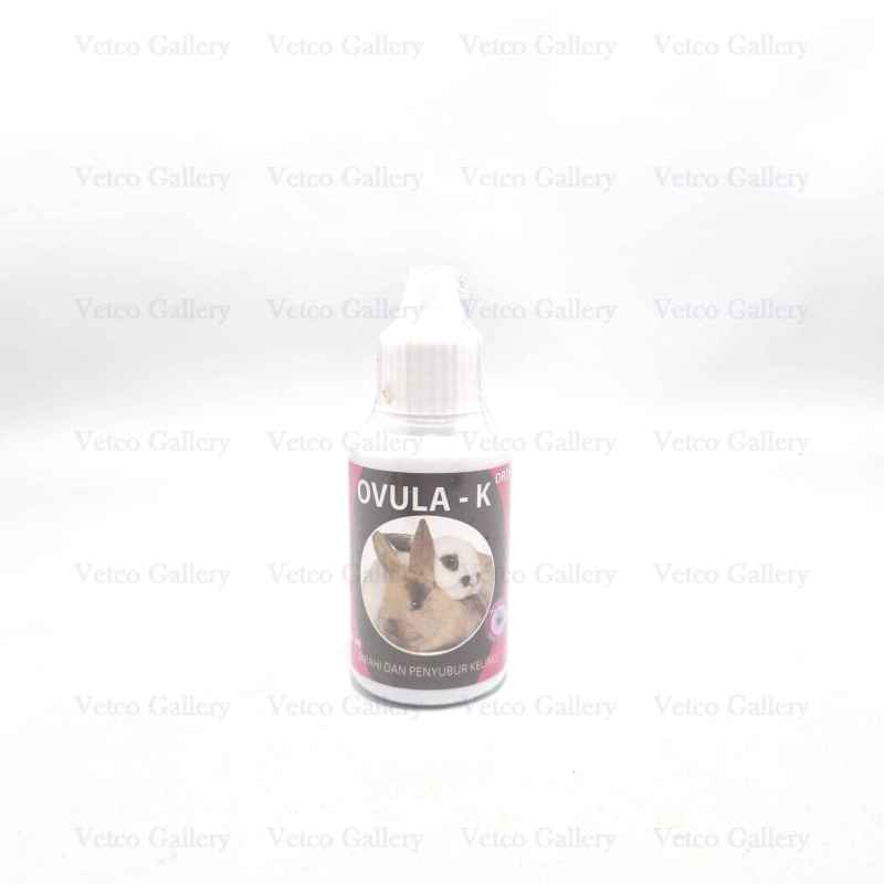 Jual Ovula Kelinci 30 Ml - Rabbit Lust Medicine Obat Birahi Penyubur ...