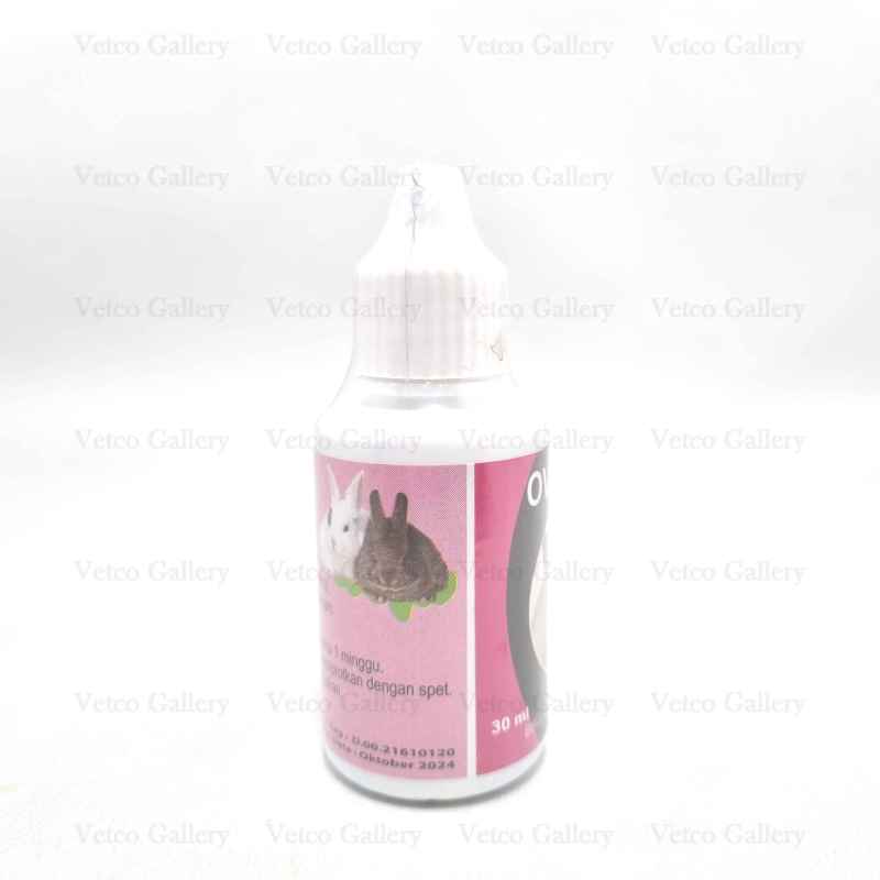 Jual Ovula Kelinci 30 Ml - Rabbit Lust Medicine Obat Birahi Penyubur ...