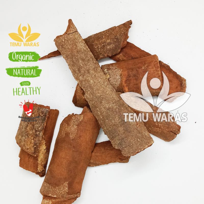 Jual Grade A!! Kulit Kayu Sintok Kering 50gr Asli Hutan Di Seller Temu ...