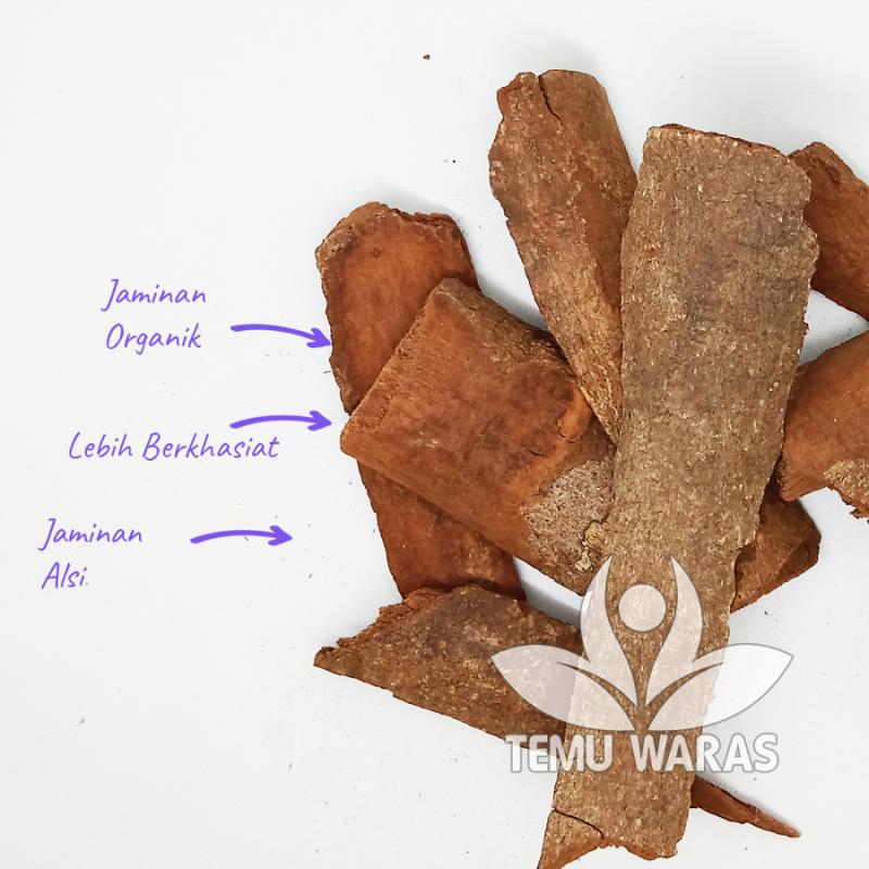 Jual Grade A!! Kulit Kayu Sintok Kering 50gr Asli Hutan Di Seller Temu ...