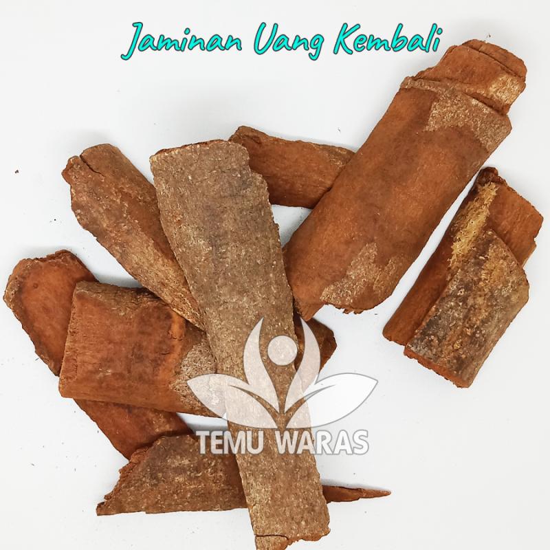 Jual Grade A!! Kulit Kayu Sintok Kering 50gr Asli Hutan Di Seller Temu ...