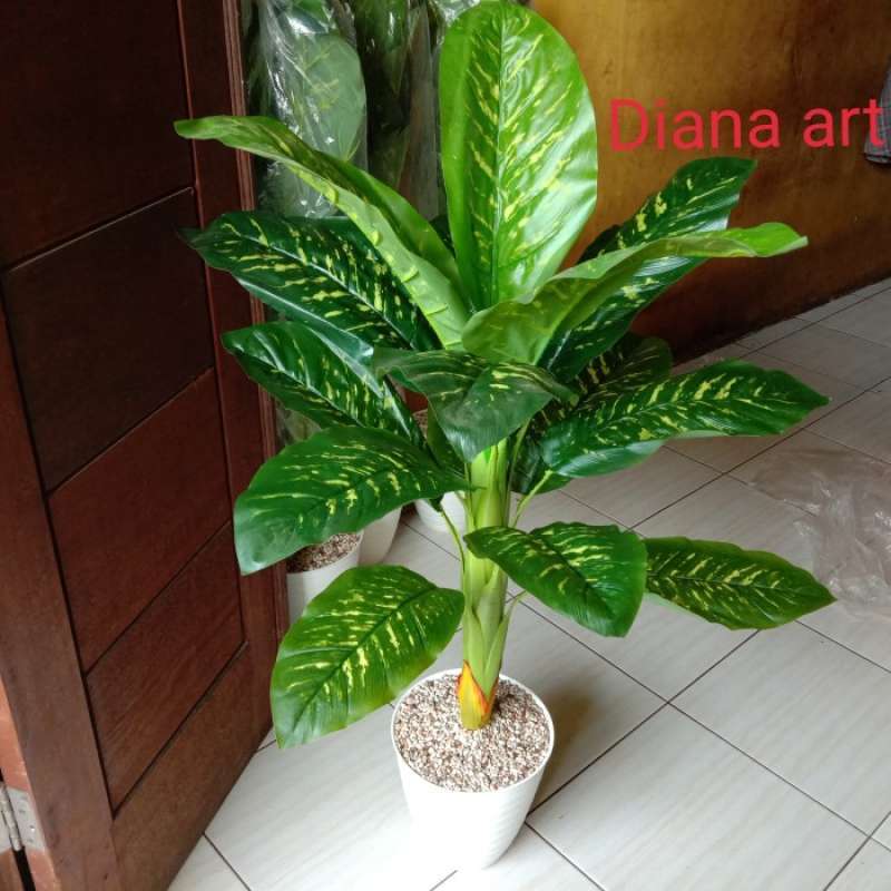 Promo tanaman latex sri rejeki jumbo/tanaman hias plastik/bunga ...