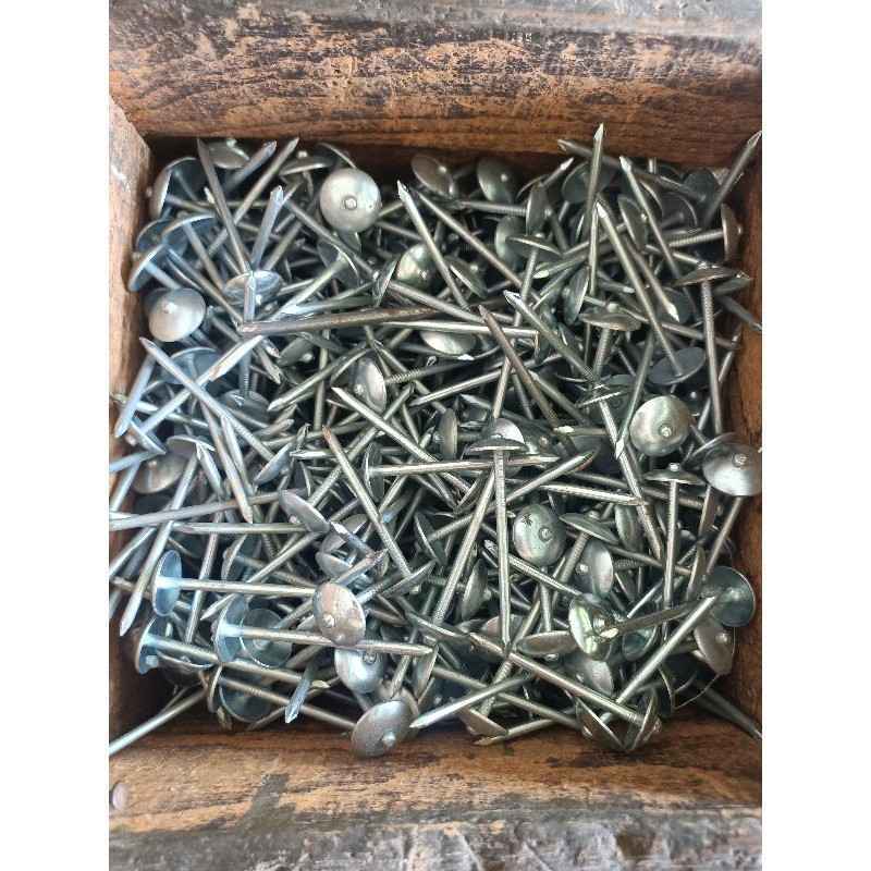 Jual Paku Atap Paku Seng 5cm (500 gram) di Seller Raja Besi - Dagen ...