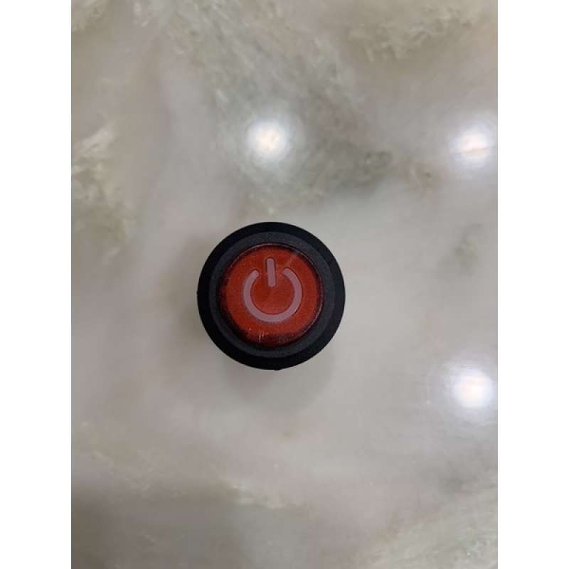 Jual Tombol ON OFF POWER PIN PIN Saklar Socket Motor Mobil Aki V V PIN Di Seller