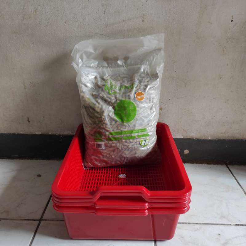 Jual 2 set litter box warna ukuran L + 1 pack pellet kayu varian Bamboo ...