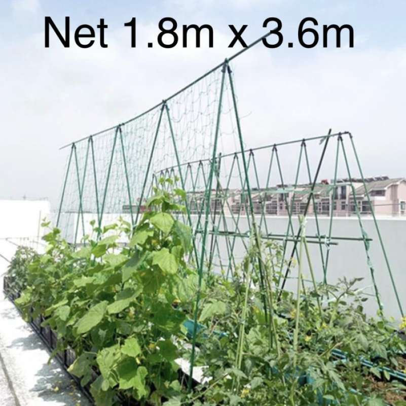 Jual tali jaring net rambatan 1.8 x 3.6 meter tanaman rambat bunga ...