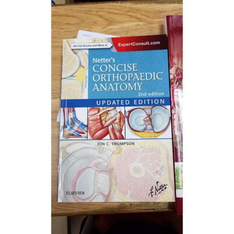 Promo Netter'S Concise Orthopaedic Anatomy 2Nd Edition Updated Edition ...