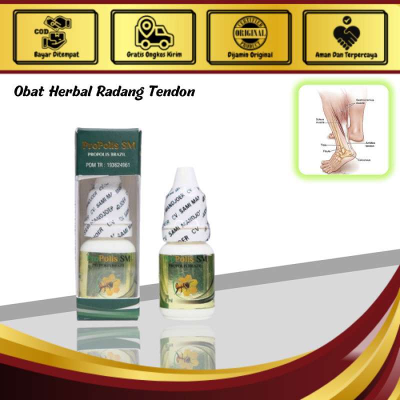 Promo Obat Herbal Radang Tendon, Nyeri Tendon, Otot Tendon Robek Sobek ...