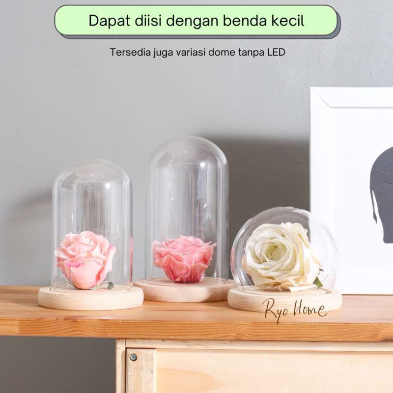 Jual Ryo Home - Bevan Display Glass Dome Dengan Handle Led Lights ...