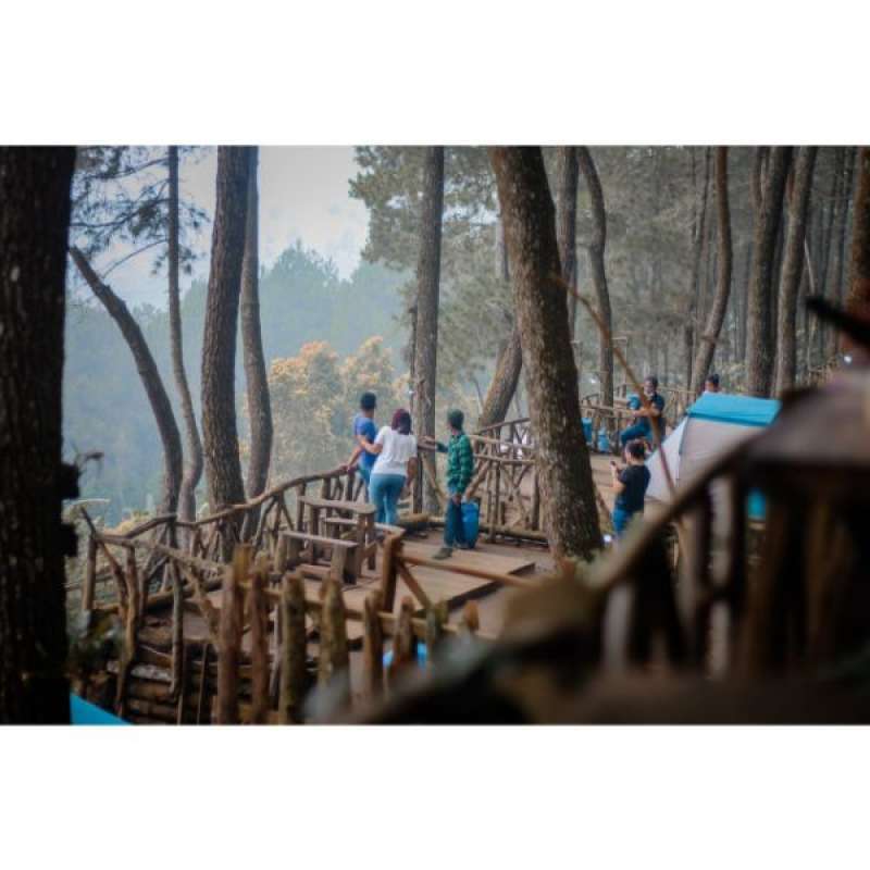 Promo Explore Hutan Talaga Surian Indonesia Camping [2D1N] Diskon 13% ...