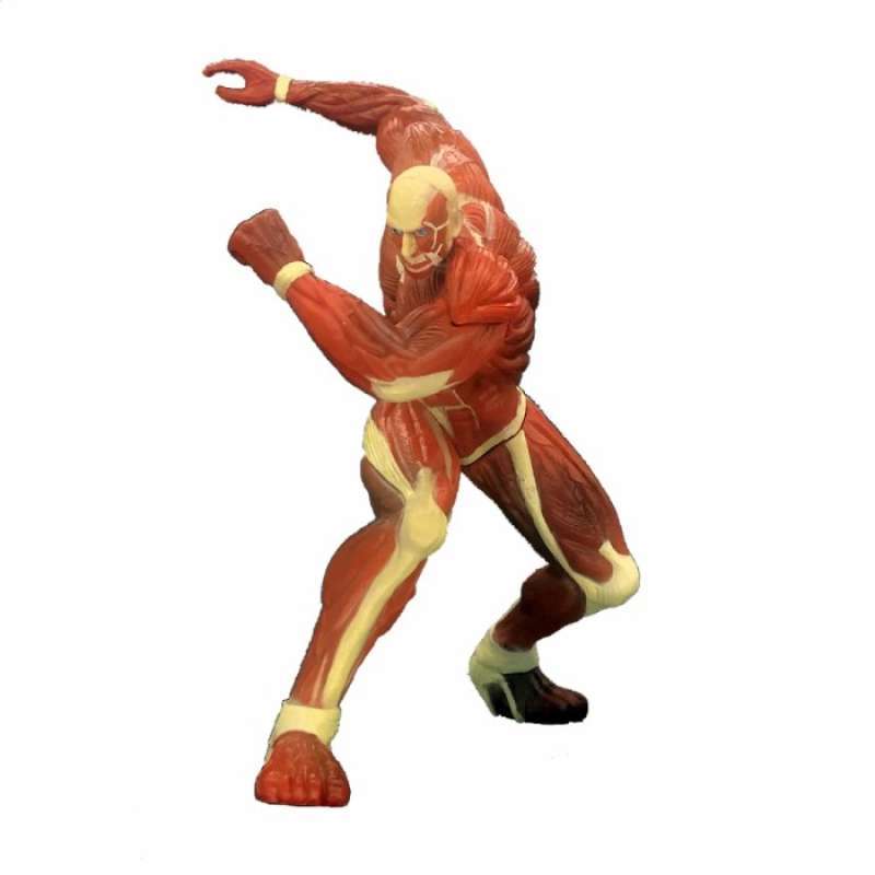 Promo Action Figure Attack On Titan Tactics Colossal Titan Armin Arlert ...