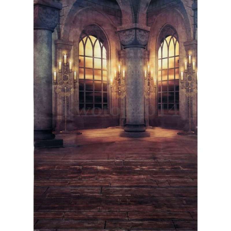 Jual Layar Latar Foto Motif Istana Retro Bahan Kain Vinyl 5x7kaki Di ...