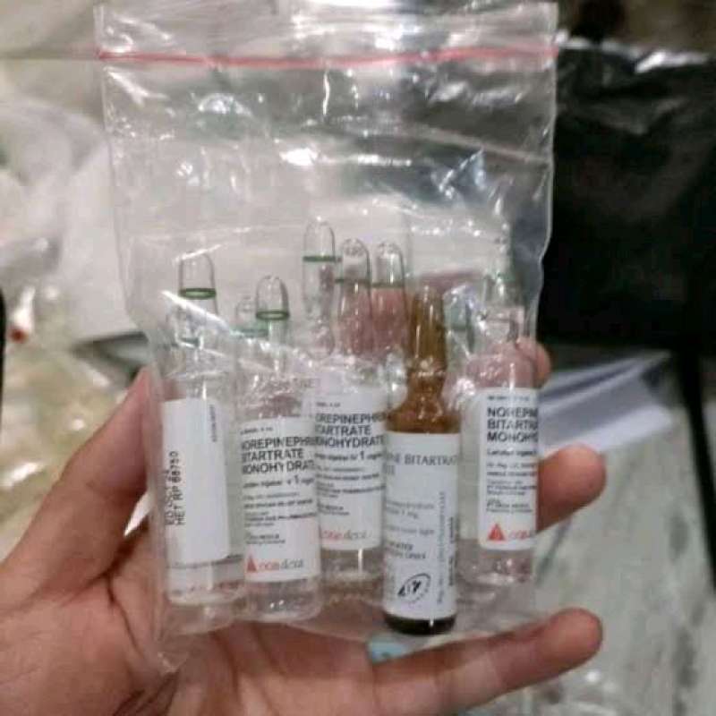 Norepinephrine Injeksi Lengkap Harga Terbaru Juni 2024 | Blibli
