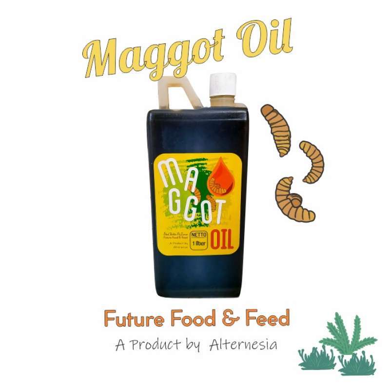 Promo Ikanesia - Minyak Maggot Oil Arwana, Channa, Koi, Murai, Louhan ...