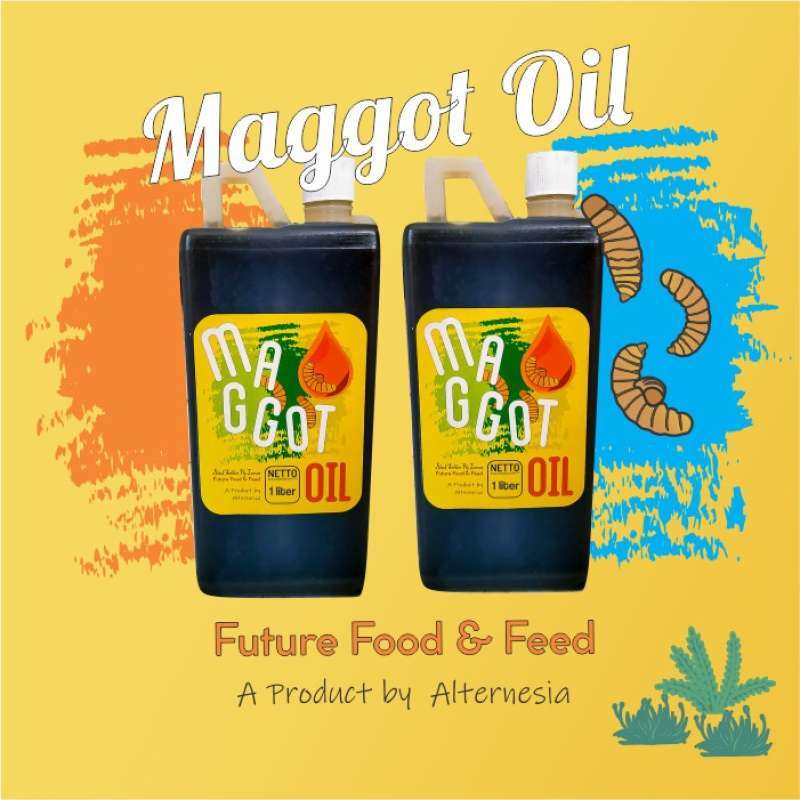 Promo Ikanesia - Minyak Maggot Oil Arwana, Channa, Koi, Murai, Louhan ...