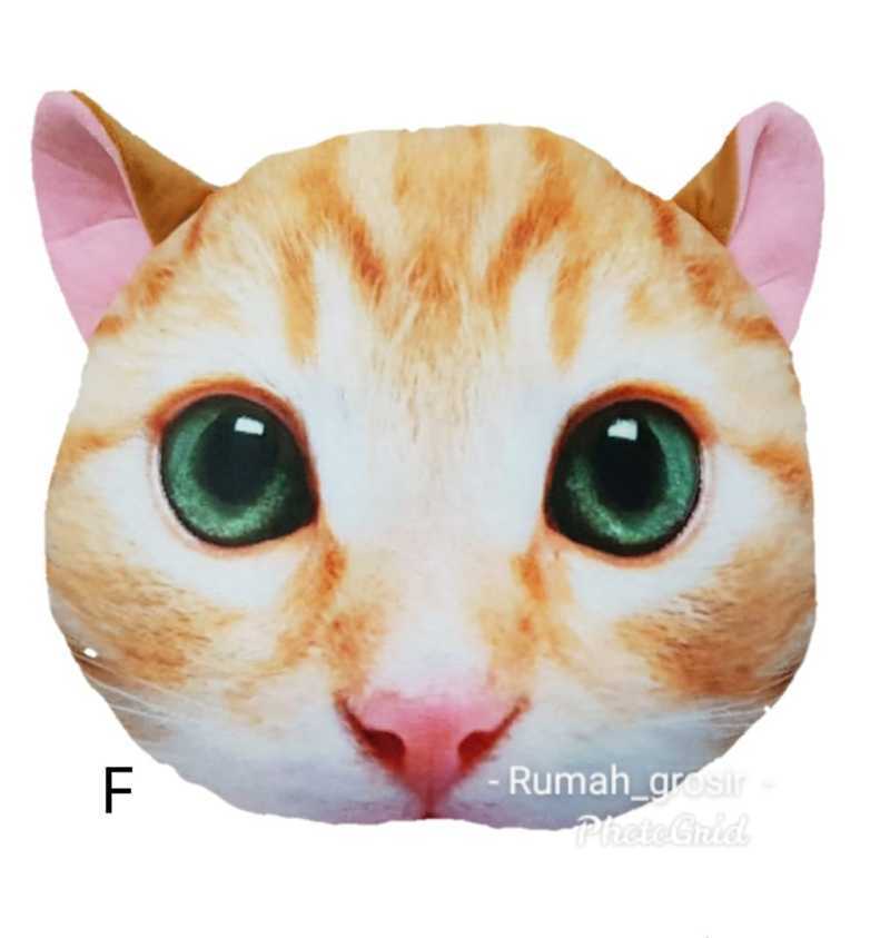 Jual Boneka Kucing Kucingan Lucu Terbaik November 2024 - Harga Murah ...