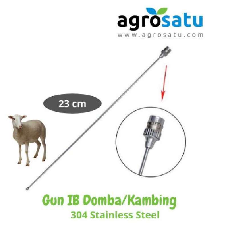 Jual Ib Gun Terdekat 🏷️ Harga Grosir Murah Terupdate Hari Ini Desember 2024