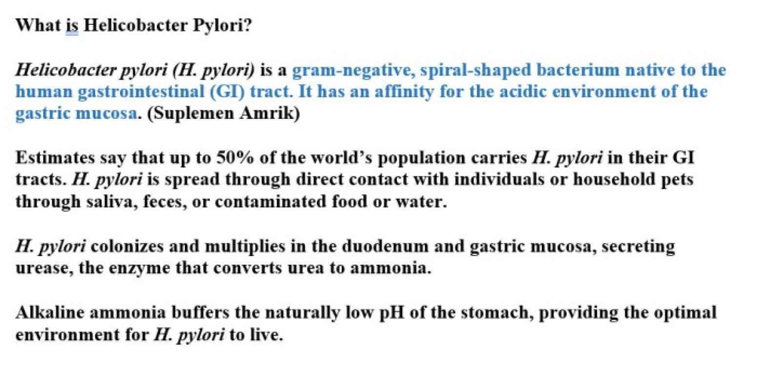 Jual Pyloguard Pylo Guard Helicobacter Pylori (h. Pylori) Suplemen Usa ...