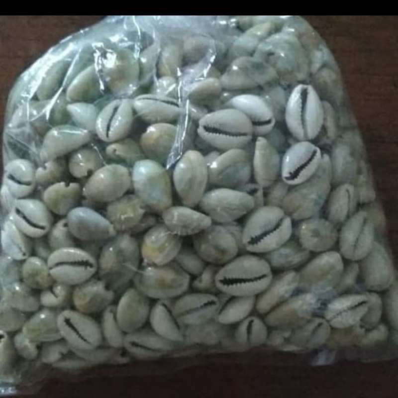 Promo Biji Congklak Kerang 1 Kg Diskon 20% Di Seller Mimiso ...