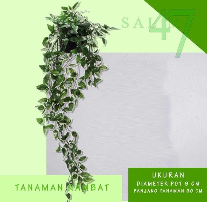 Promo Promo Tanaman Rambat Gantung Dalam Pot / Tanaman Artificial ...