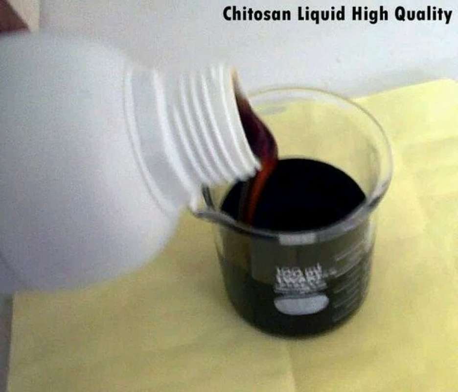 Promo Chitosan Liquid Kitosan Cair Pupuk Alami Organik Pengenyal Bakso ...