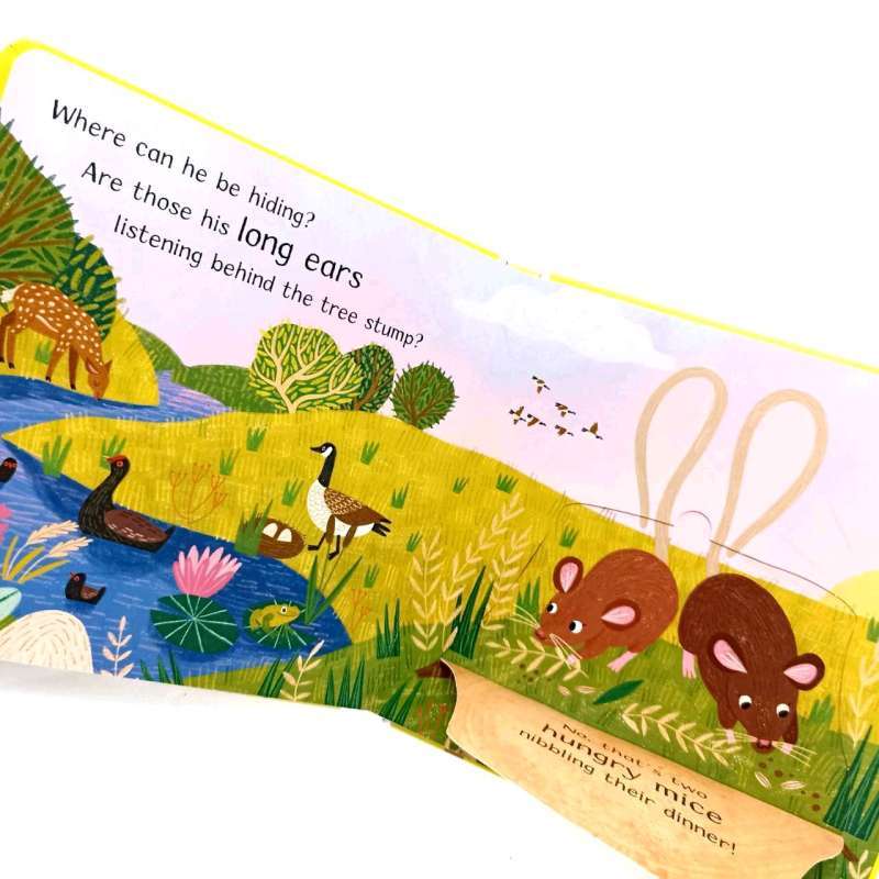 Promo Campbell Where is Little Bunny? The lift-the-flap book with a pop ...