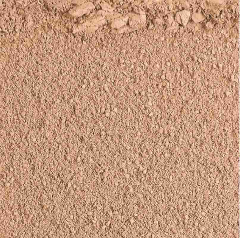 Promo L'OREAL PARIS Infallible 24H Fresh Wear Powder Foundation Diskon ...