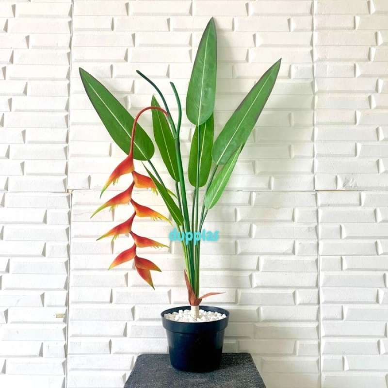 Promo Pohon Daun Heliconia X7 Bunga Pisang-pisangan Bali Latex ...