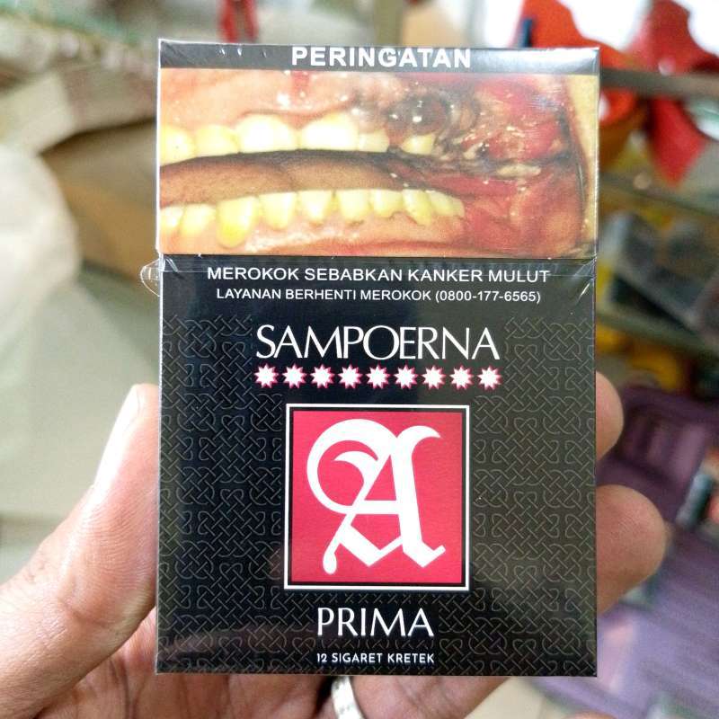 Jual Sampoerna Prima Termurah - Harga Grosir Terupdate Hari Ini | Blibli Jual Sampoerna Prima Termurah - Harga Grosir Terupdate Hari Ini | Blibli
