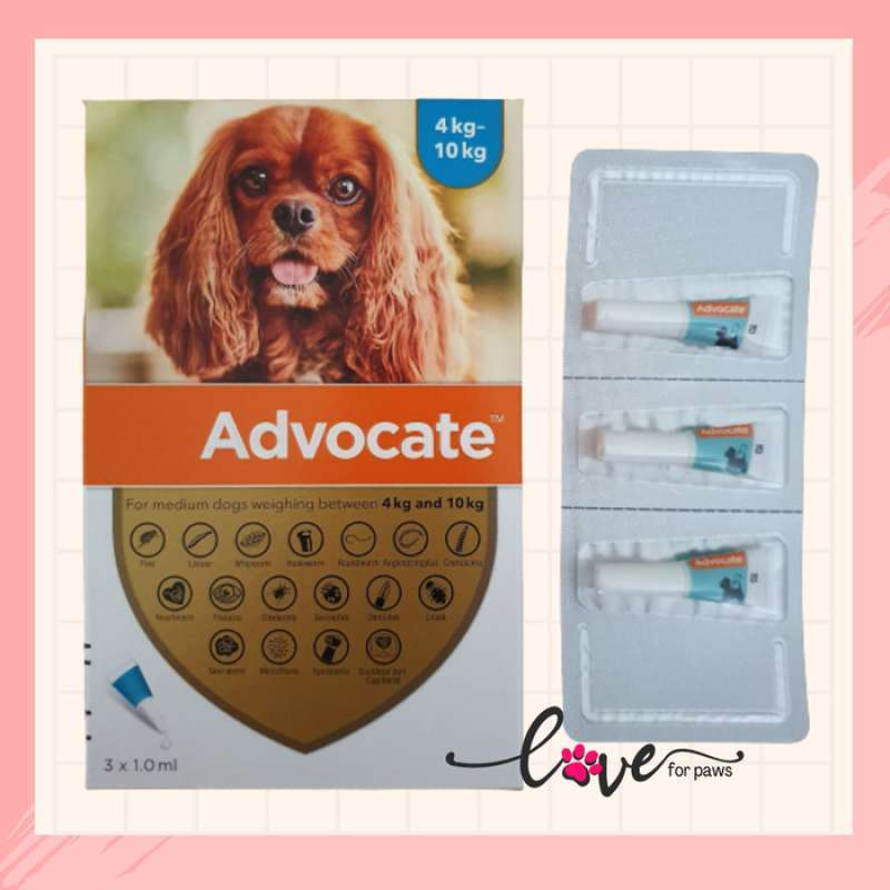 Promo Obat Kutu & Cacing - Advocate Dog 4-10kg (m) Diskon 23% Di Seller ...