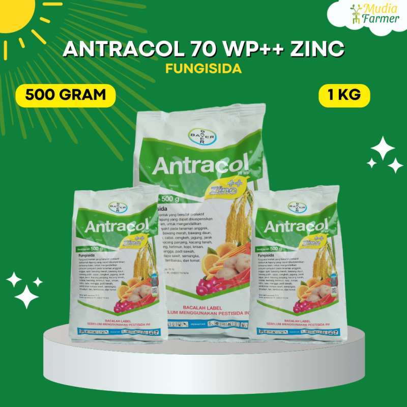 Promo Fungisida Antracol 70 Wp++ Zinc Diskon 20% Di Seller Mudiafarmer - Sukawening, Kab ...