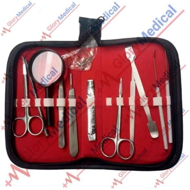 Promo Alat Peraga Sd Sekolah Dasar (kerangka Manusia 100cm + Kit ...