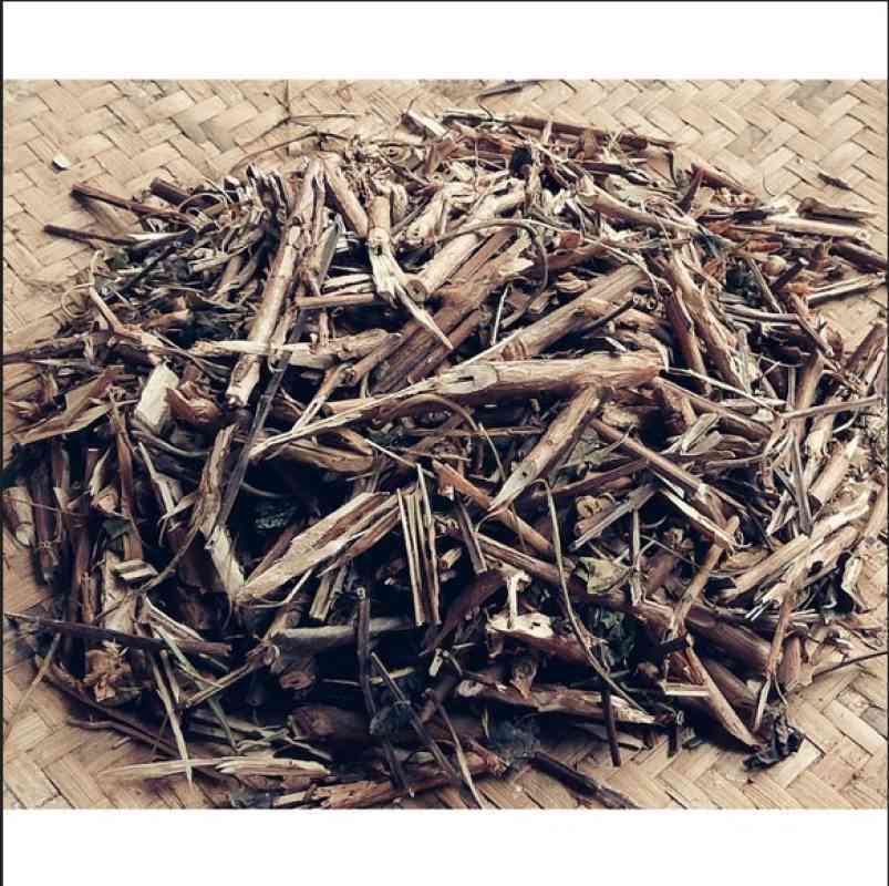 Jual Ranting Pohon Jambu Biji Kering Alami - 100gr Di Seller Kendy Mall ...