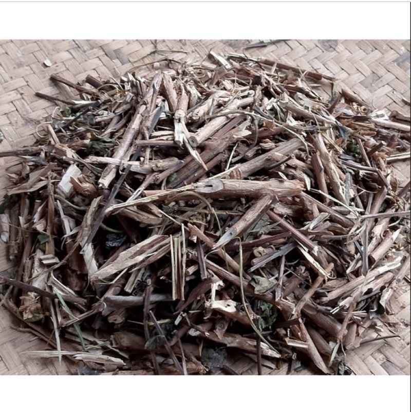 Jual Ranting Pohon Jambu Biji Kering Alami - 100gr Di Seller Kendy Mall ...