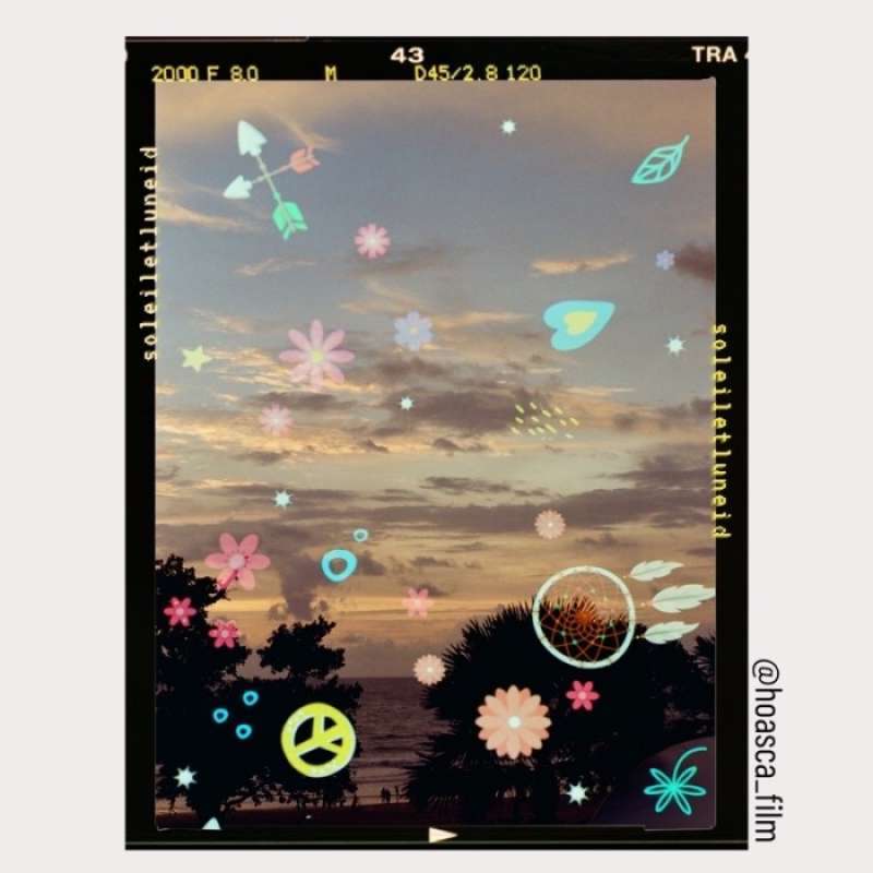Jual Hoasca 200 Flower Power - Roll Film Reanimated Iso 200, 36exp Di ...