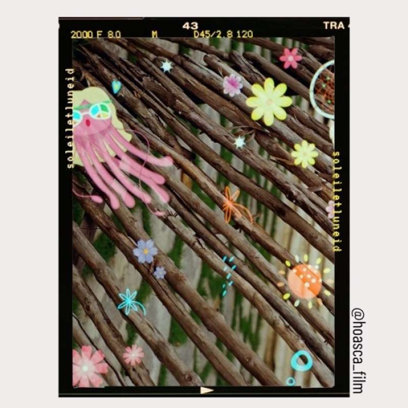 Jual Hoasca 200 Flower Power - Roll Film Reanimated Iso 200, 36exp Di ...