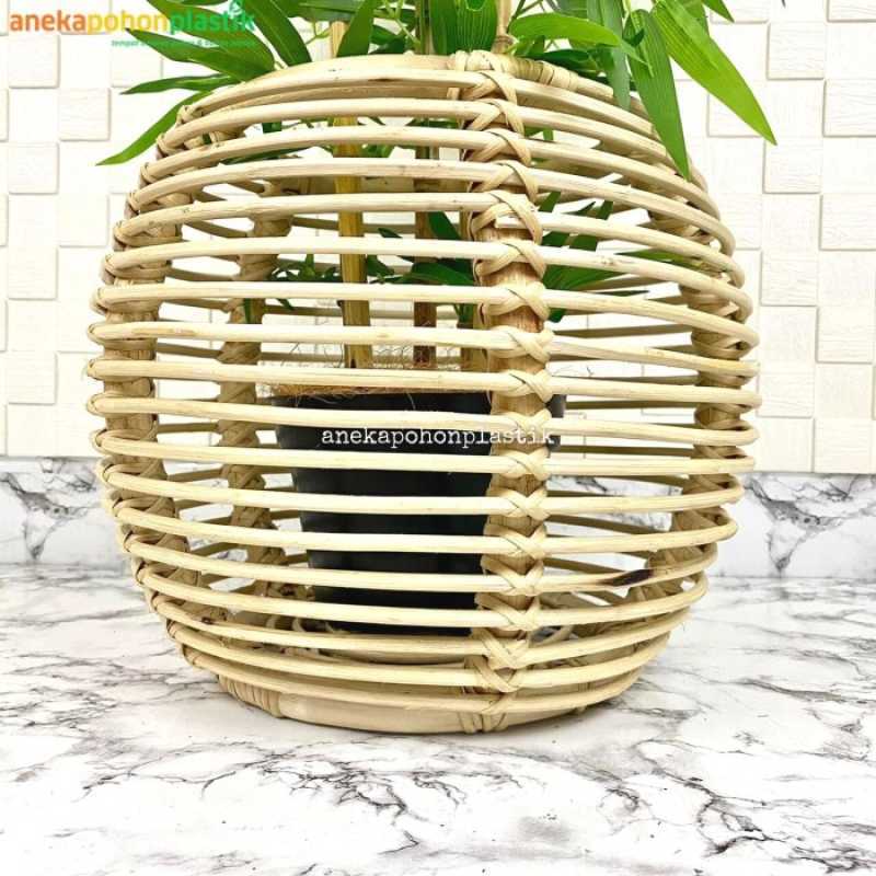 Promo Pohon Daun Bambu Hijau Kuning Latex Pot Dasar Cover Rotan Kupas ...