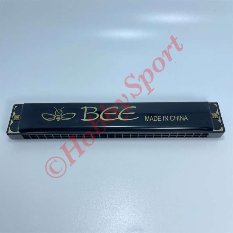 Jual Harmonica Bee 24 Holes Kunci C Steel Harmonika Lubang Key ...