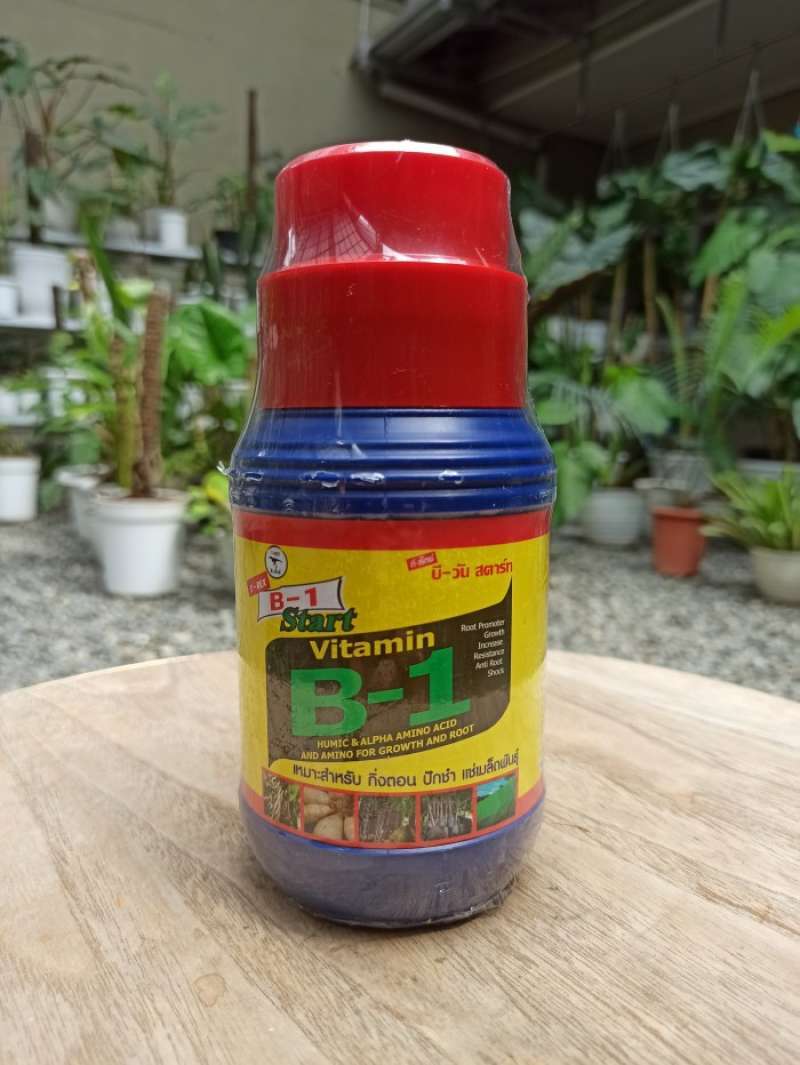 Promo T-REX VITAMIN B1 THAILAND 500 ML ORIGINAL PUPUK HORMON TANAMAN Diskon 23% di Seller ...