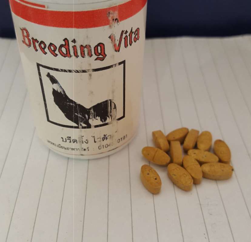 Promo breeding vita vitamin obat ayam birahi impor bangkok Diskon 33% ...