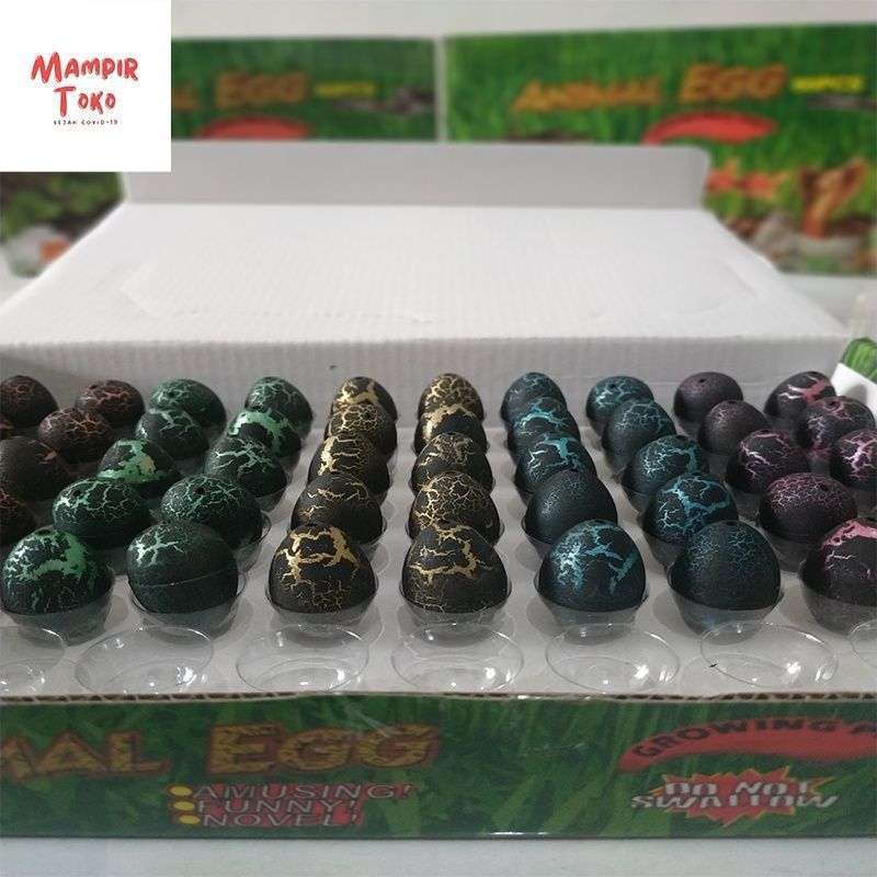 Jual Mainan Telur Dinosaurus Menetas Lucu Unik Menetas Bayi Dino Untuk ...