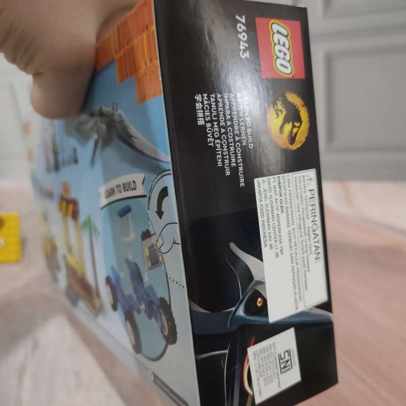 Jual Lego 76943 Jurassic World Dominion Pteranodon Chase Di Seller Fun ...