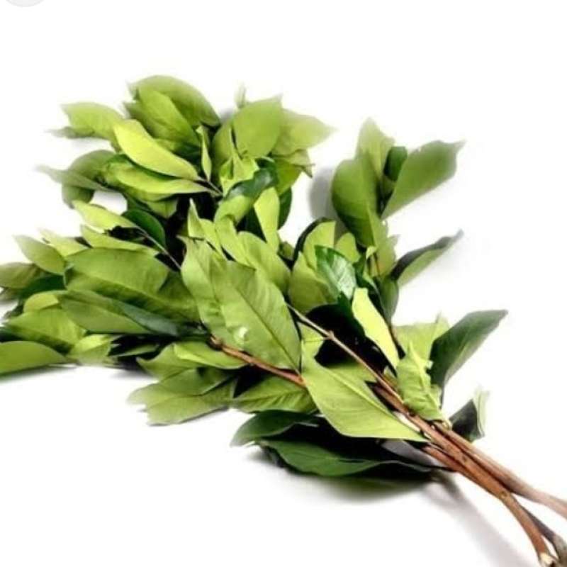 Promo Daun Salam 100gr Diskon 1% Di Seller Donamipasarpagi ...