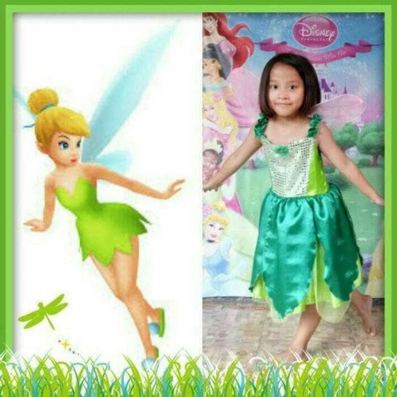 Jual Kostum Dress Gaun Pesta Ulang Tahun Disney Princess Tinkerbell ...