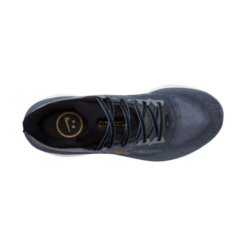 Promo Nike Women Running Vomero 17 [FB8502-400] Sepatu Lari Wanita - 10 ...